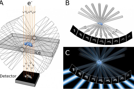 Review on cryo electron tomography - Cell & Chemical Biology
