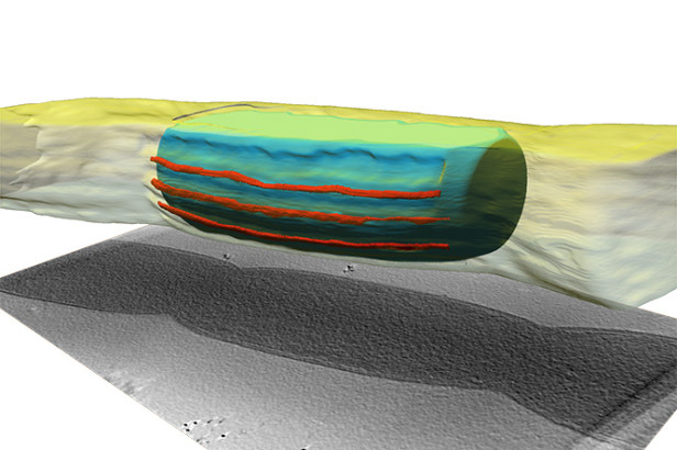 The envelope structure of centimeter long cable bacteria - Cell ...