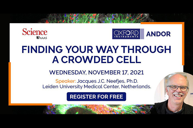 Finding your way through a crowded cell - Cell & Chemical Biology